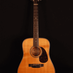 Søgeresultater | Woodstock Guitars